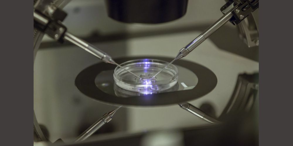 1st babies born in Britain using DNA from 3 people | Barrie 360