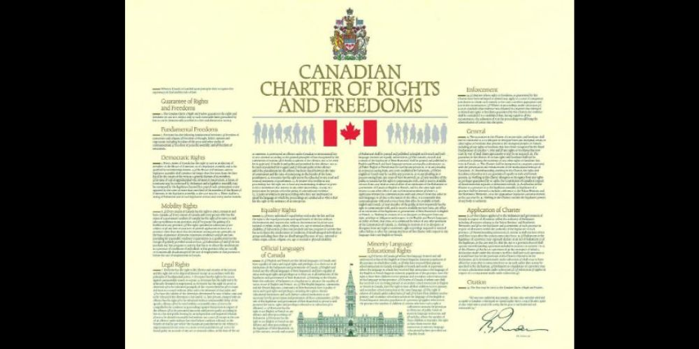 'People are confused': Survey suggests Canadians need education on ...