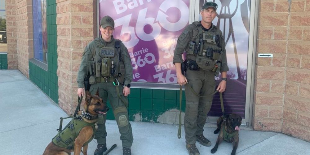Barrie Police/OPP hosting 2023 National Police Dog Championship ...