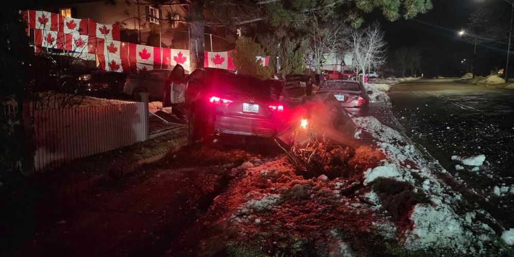 Impaired driving charges laid after vehicle slams into hydro box, tree ...