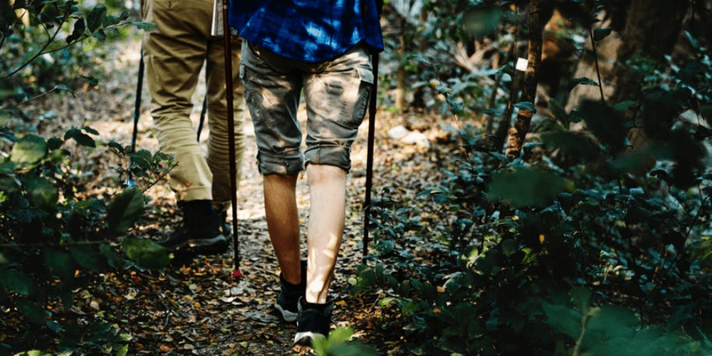 Birch Please. Spruce Up Your Weekend With These Provincial Parks ...