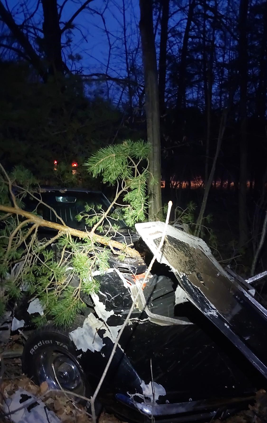 Classic car crashes into trees, Penetanguishene driver charged with ...