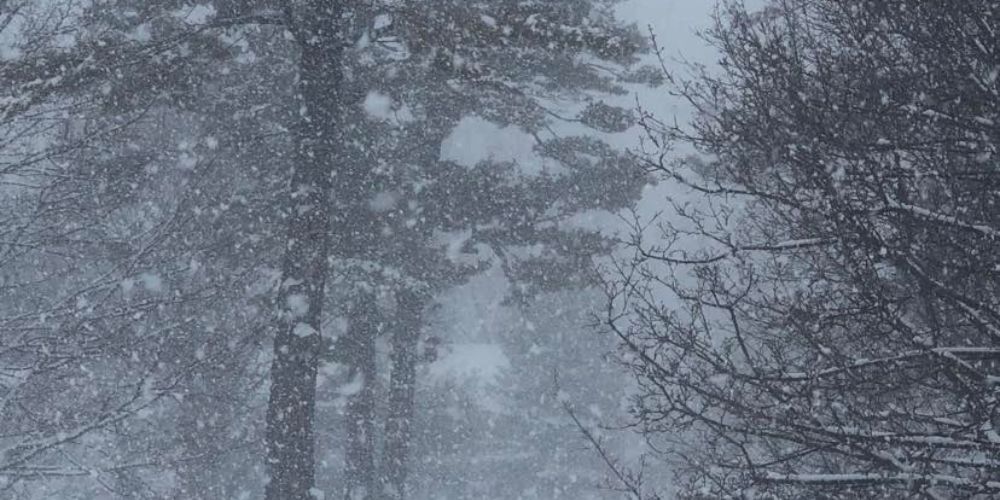 (UPDATE) Storm to dump snow, rain and ice pellets in Barrie area on ...