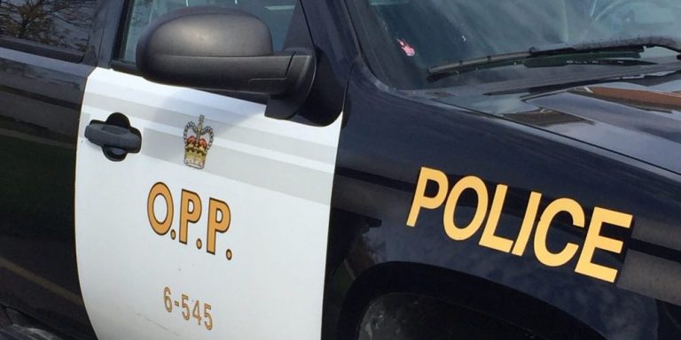 ALPR leads OPP to suspended driver in New Tecumseth