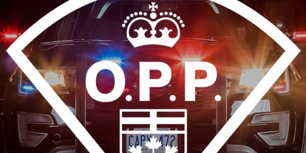 Property, vehicles targeted with 'hate-motivated' graffiti in Orillia