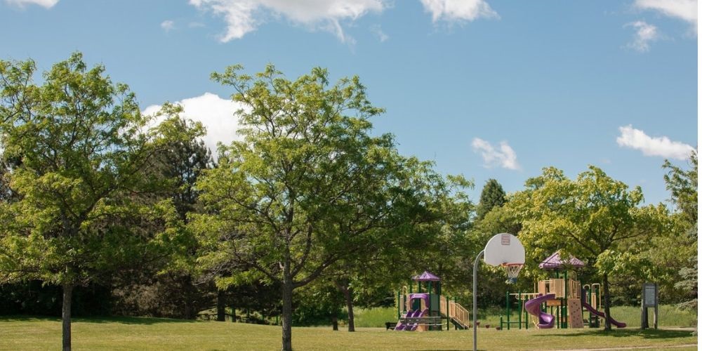 Barrie asks: How do you use outdoor spaces? | Barrie 360