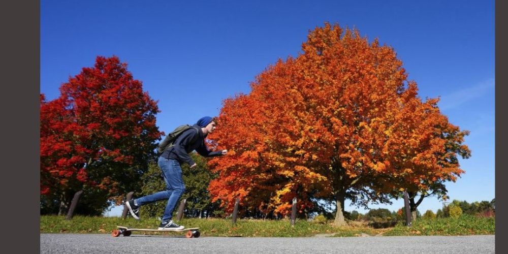 Cool temperatures leading to vibrant fall colours in Ontario: experts