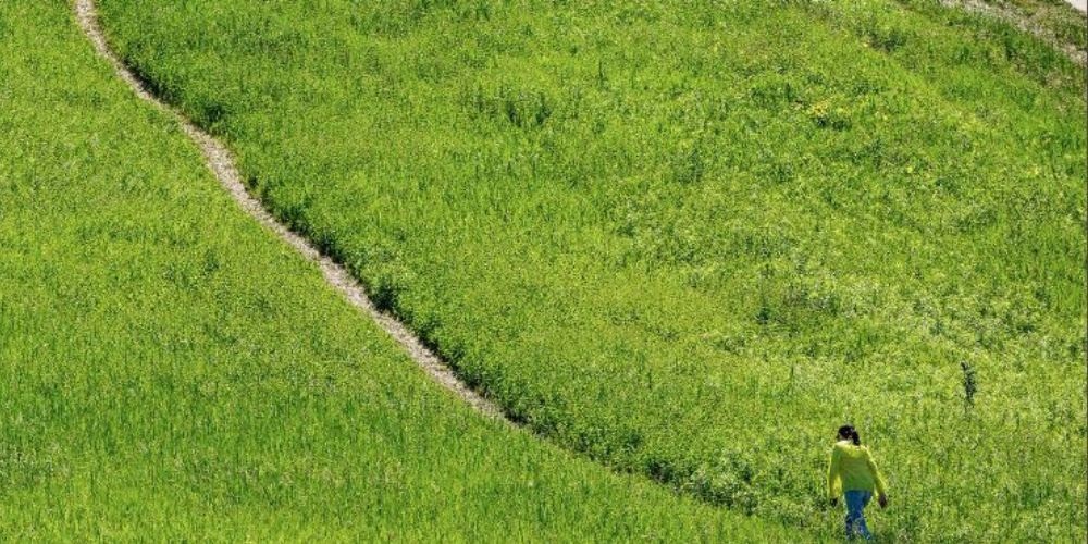 Ontario proposes to cut Greenbelt land for homes, add land elsewhere ...