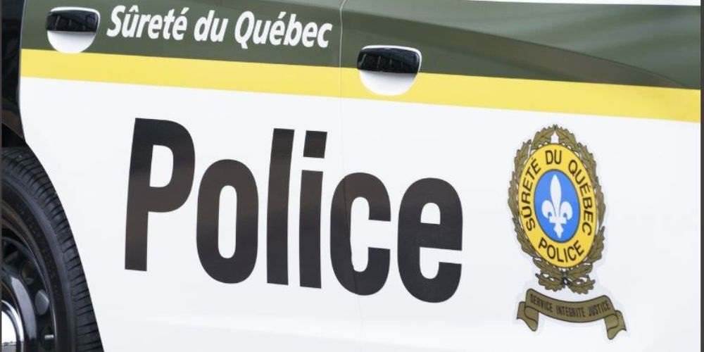 Provincial police officer killed during attempted arrest northeast of ...