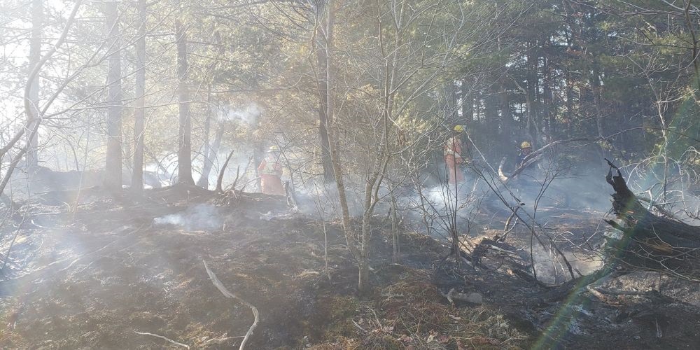 Muskoka forest fire danger rating high as dry, warm spell continues ...