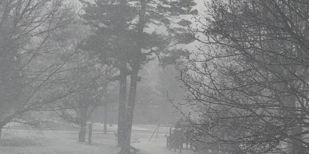 'Crippling blizzard conditions' for parts of Simcoe County and Muskoka ...