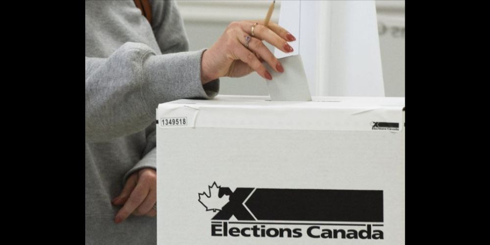 What you need to vote