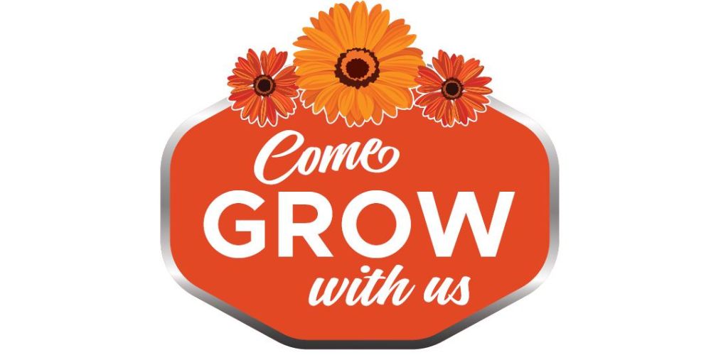 Registration now open for 2024 Communities in Bloom campaign: City of ...