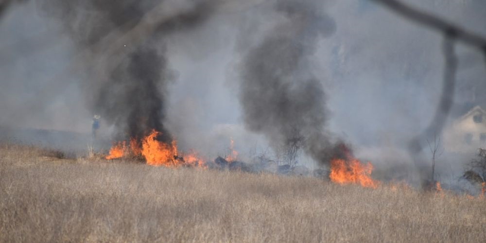 Grass fire chews through at least 10-acres in Oro-Medonte | Barrie 360