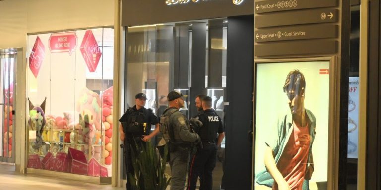 (Update) 4 suspects sought in reported armed robbery at Georgian Mall ...