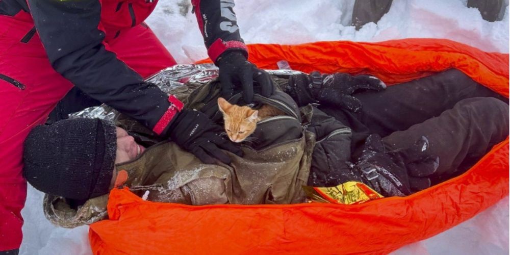 Ukrainian man fleeing war rescued with his kitten on a perilous journey ...