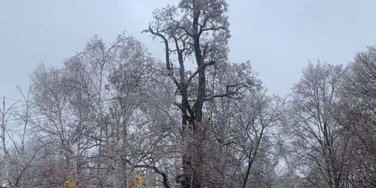 Township of Muskoka Lakes - Storm Update