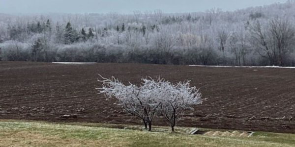 Ice storm cuts power to several thousand in Barrie, tens of thousands ...