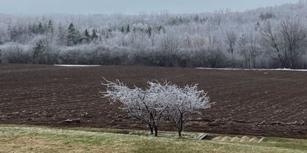 Ice storm cuts power to several thousand in Barrie, tens of thousands ...