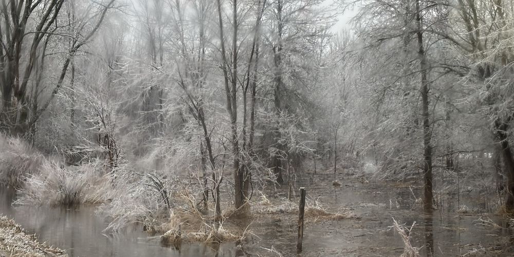 [PHOTOS] Ontario's 2025 Ice Storm: Frozen In Time | Barrie 360