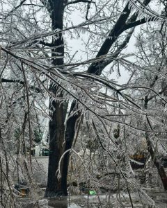 [PHOTOS] Ontario's 2025 Ice Storm: Frozen In Time | Barrie 360