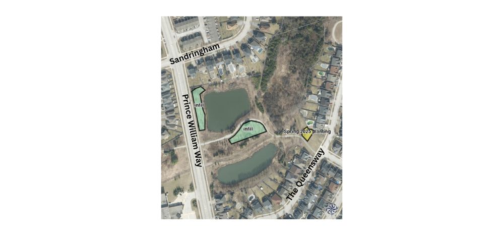 Tree Planting- Prince William Way Storm Water Management Pond | Barrie 360