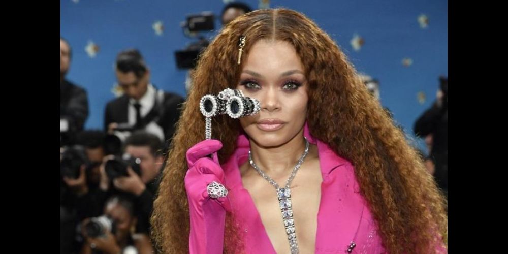 Inside the Met Gala: Under a petal-filled sky, guests honor Black style ...