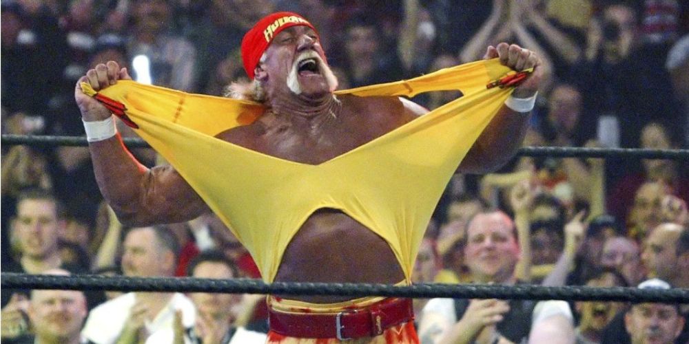 Hulk Hogan descended upon American culture at exactly the time it was ...