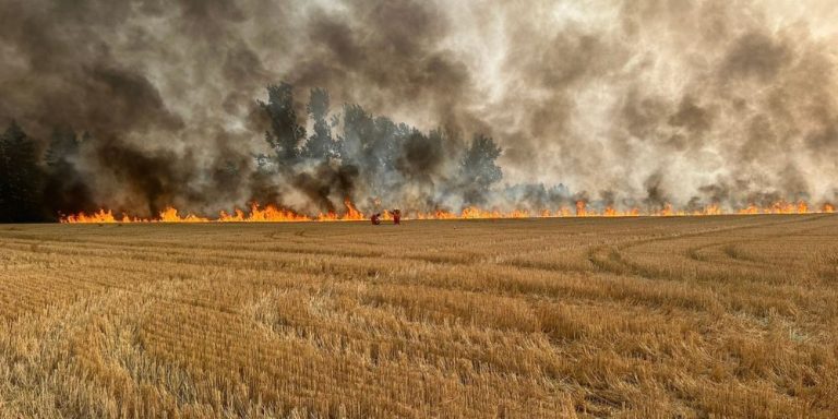 Springwater, Wasaga Beach fire battle field blaze as dry conditions ...
