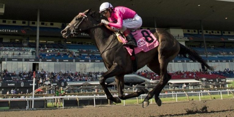 Jockeys David, Pietro Moran to race against each other in 1-million ...