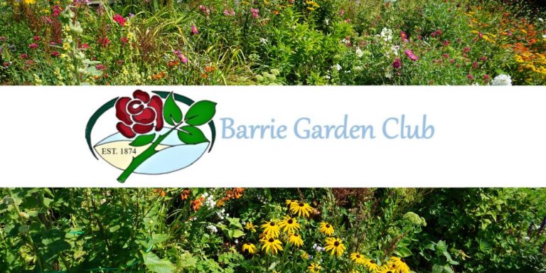 Native Alternatives to Invasives | Barrie Garden Club September Meeting ...