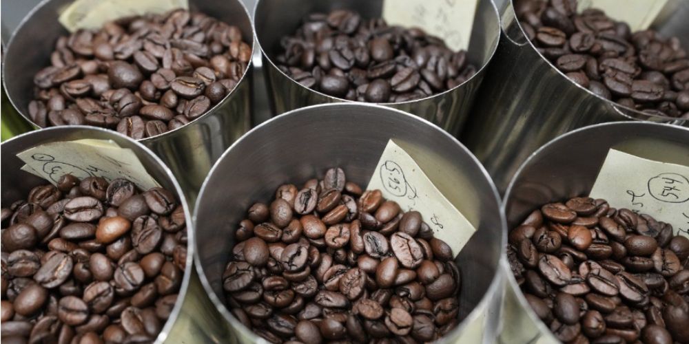 From small farms to your cup: What it takes to make that one cup of ...