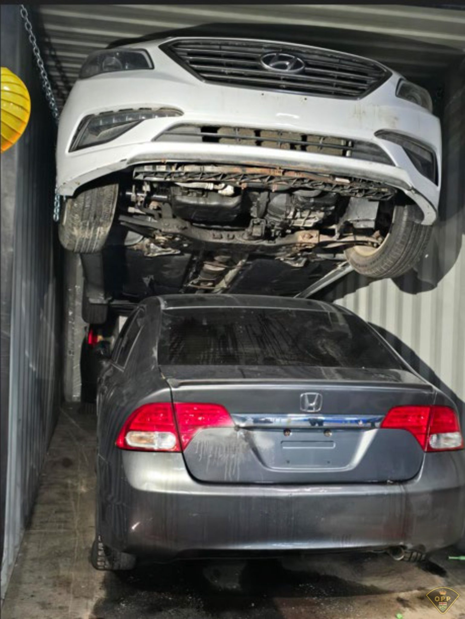 20 people arrested, more than 300 vehicles recovered in auto theft ...