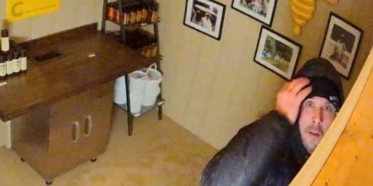 OPP investigating cash theft at honey stand in Clearview