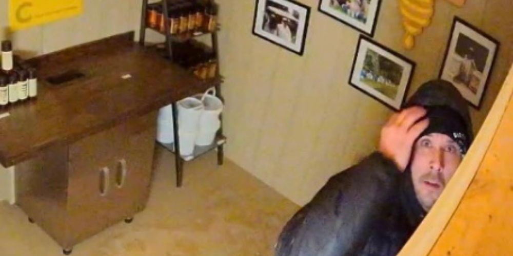 OPP investigating cash theft at honey stand in Clearview