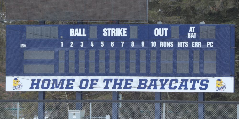 The Barrie Baycats are now a professional team, but what's really ...