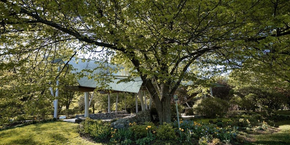 Get Outside, Barrie: Free Parks Wellness Weekend June 5 and 6