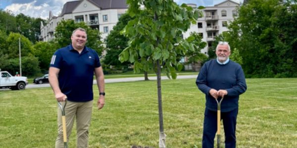 Barrie Invests $2.1 Million to Replace Trees Lost in Devastating 2025 ...