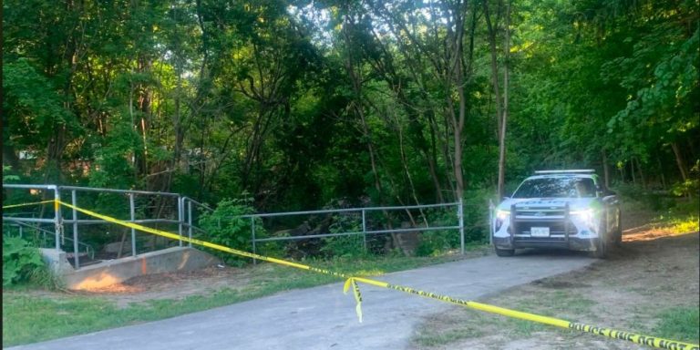 Barrie Police investigate human remains found at Berczy Park in ...